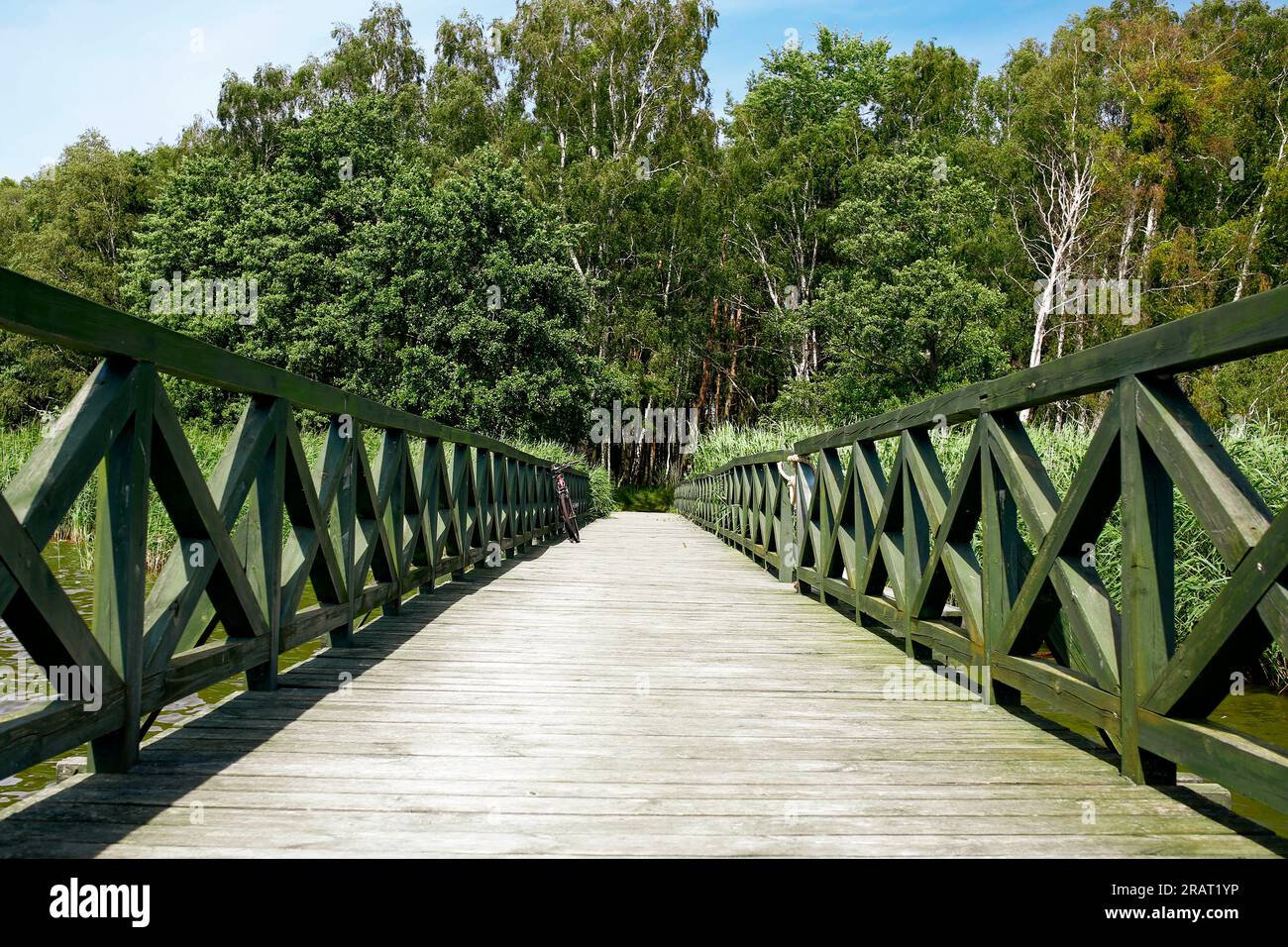 wooden pier on Lebsko lake in Slowinski National Park, Leba, northern ...