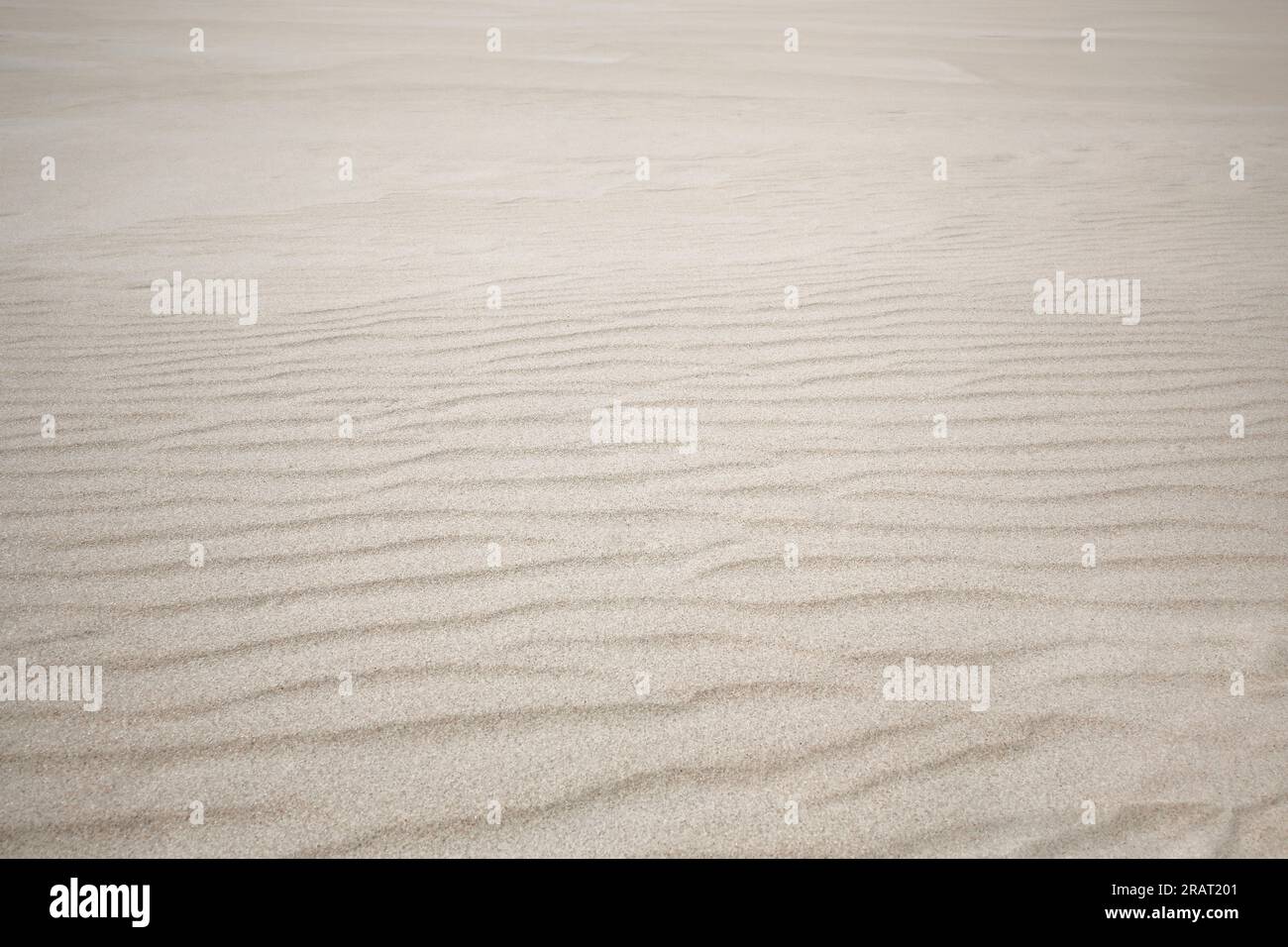 rippled sand background, dune in Slowinski National Park, Leba ...