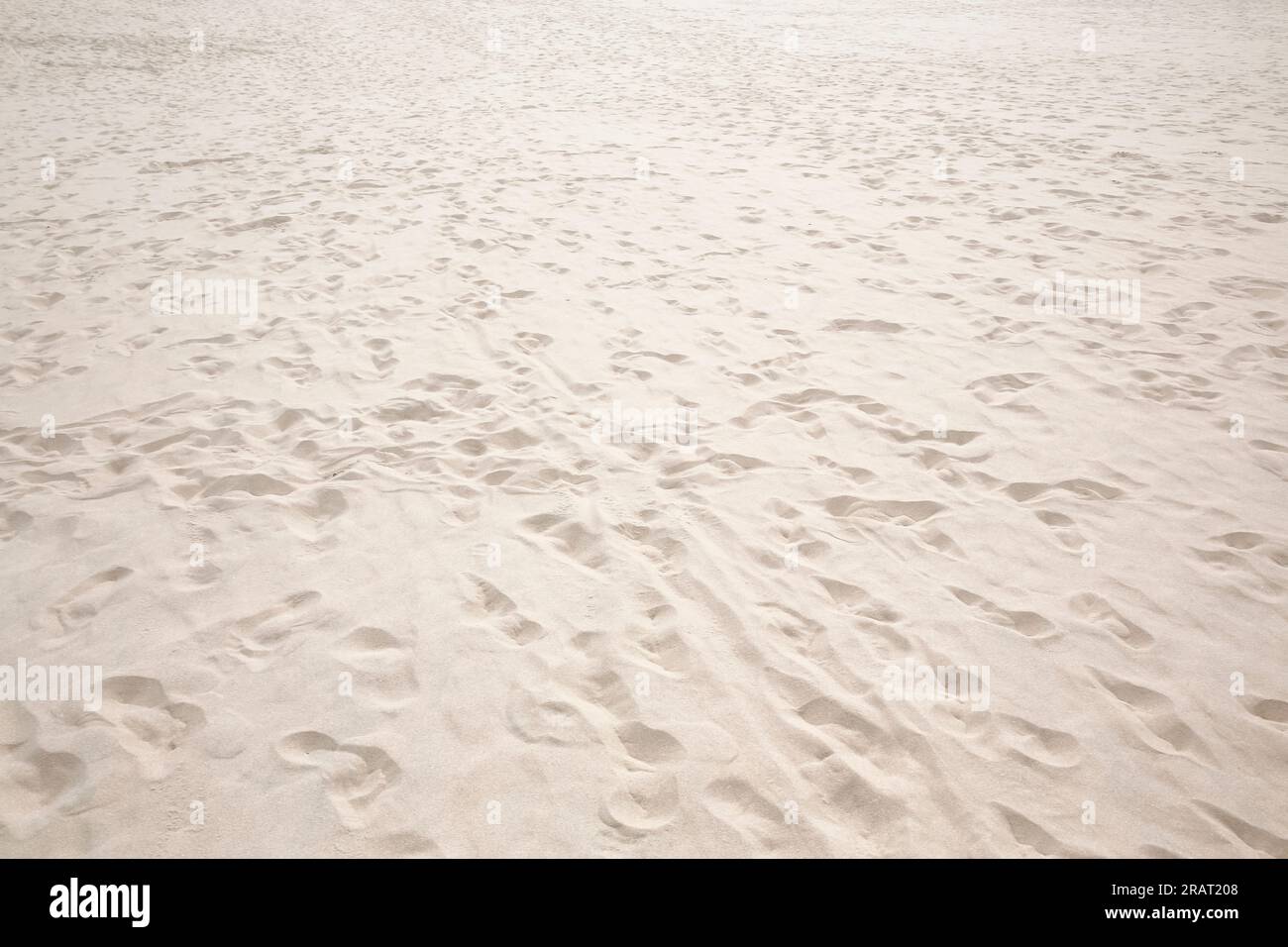 foot prints on moving sand dune in Slowinski National Park, Leba ...