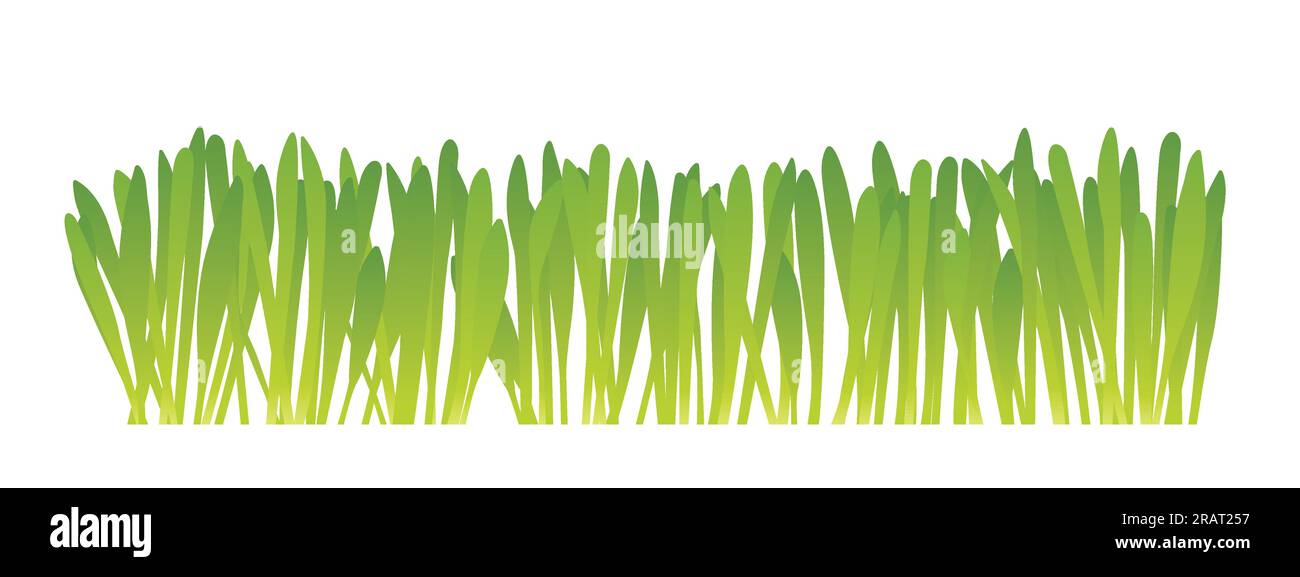 banner with fresh spring blades of green grass or oat - vector ...