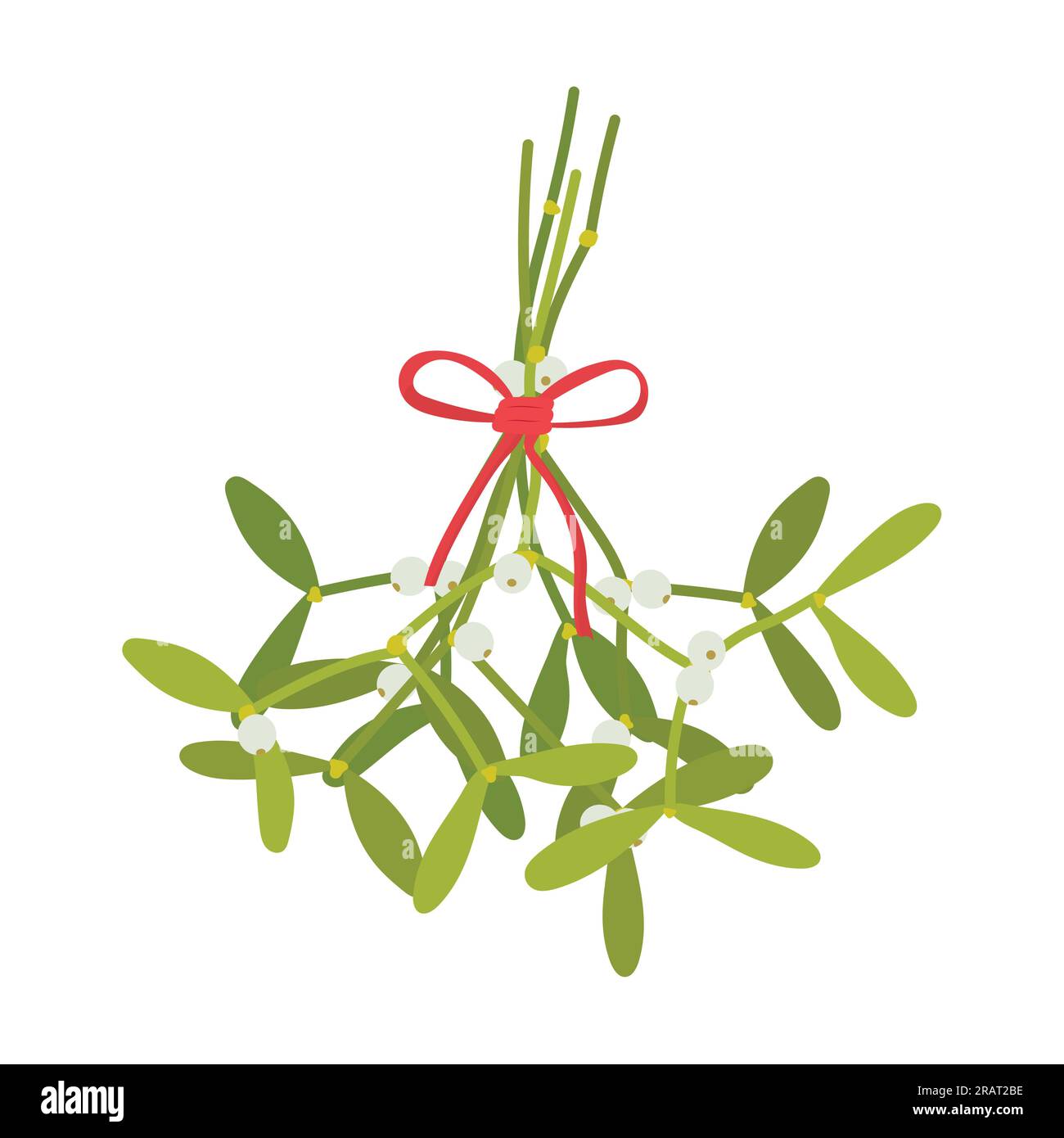 christmas traditional mistletoe bouquet with red ribbon - vector ...