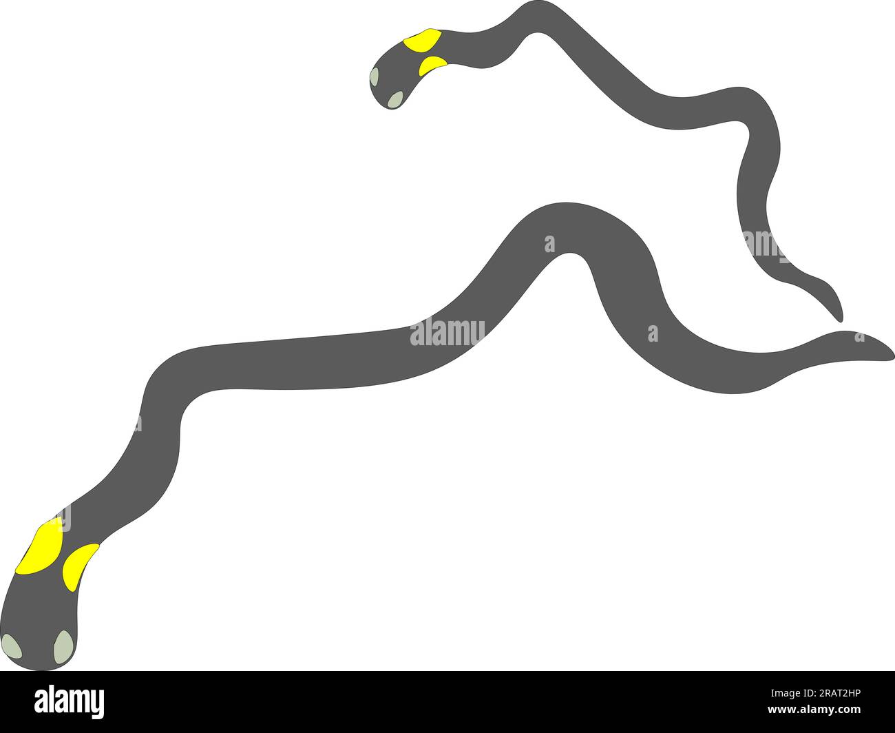 Two snakes on a white background, children's drawing. Vector ...