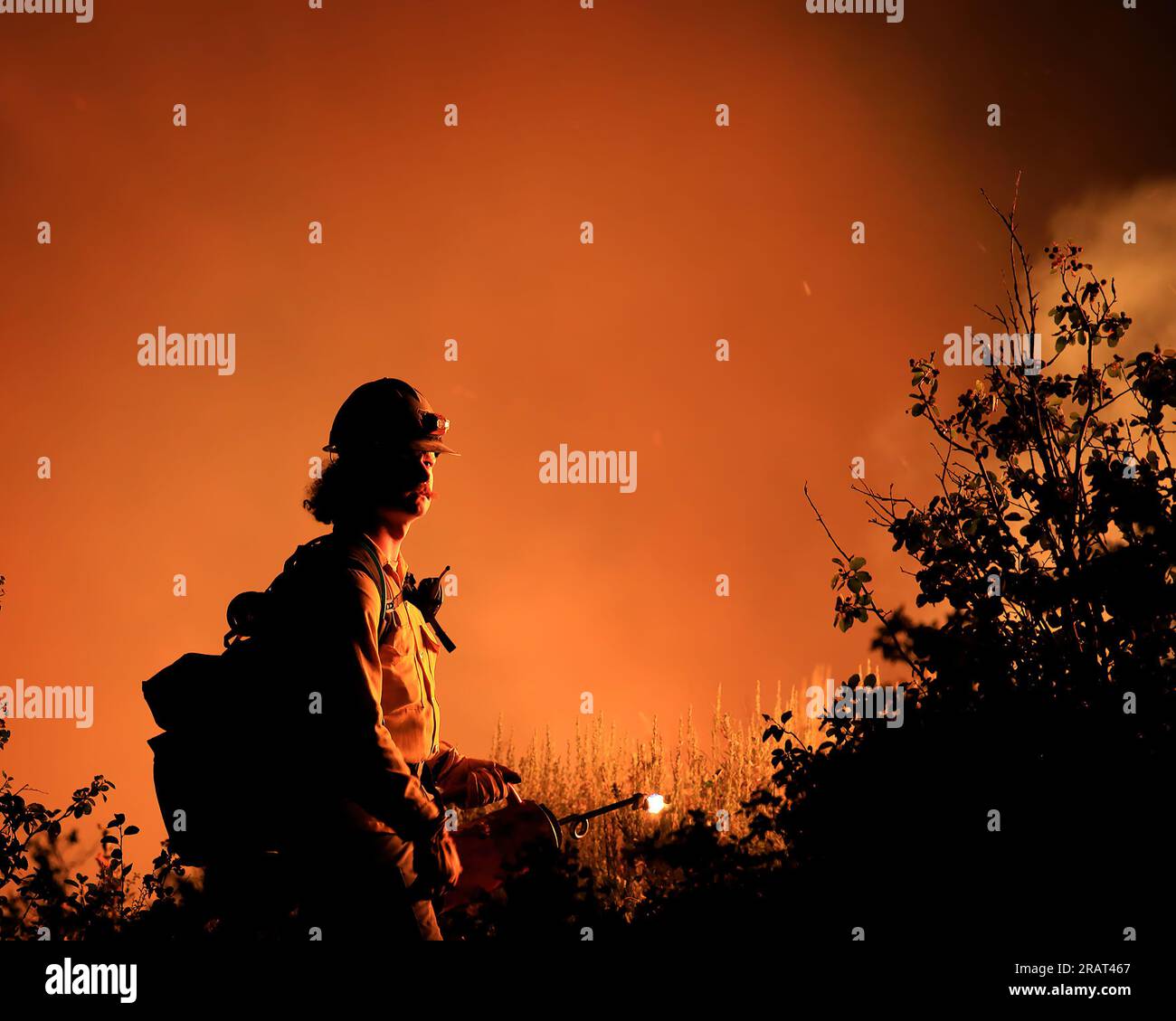 A wildland firefighter conducts a burnout operation at night on the ...