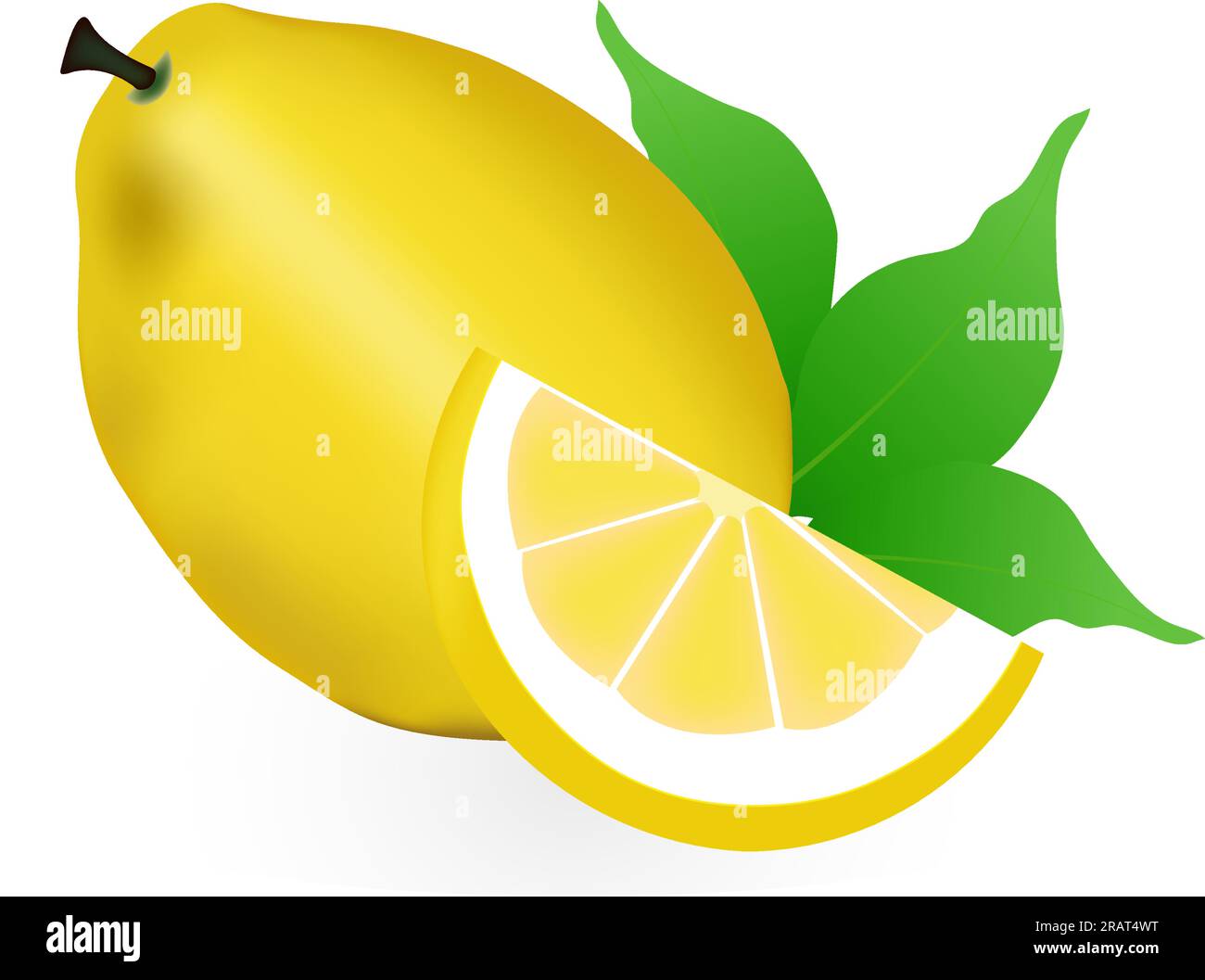 Realistic lemon, whole and sliced with green leaf, sour fresh fruit ...