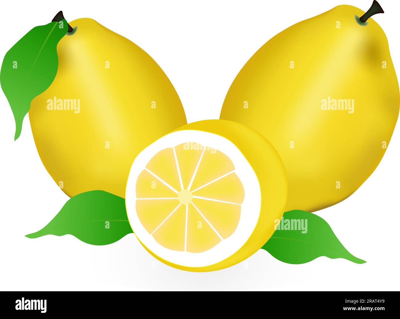 Realistic lemon, whole and sliced with green leaf, sour fresh fruit ...