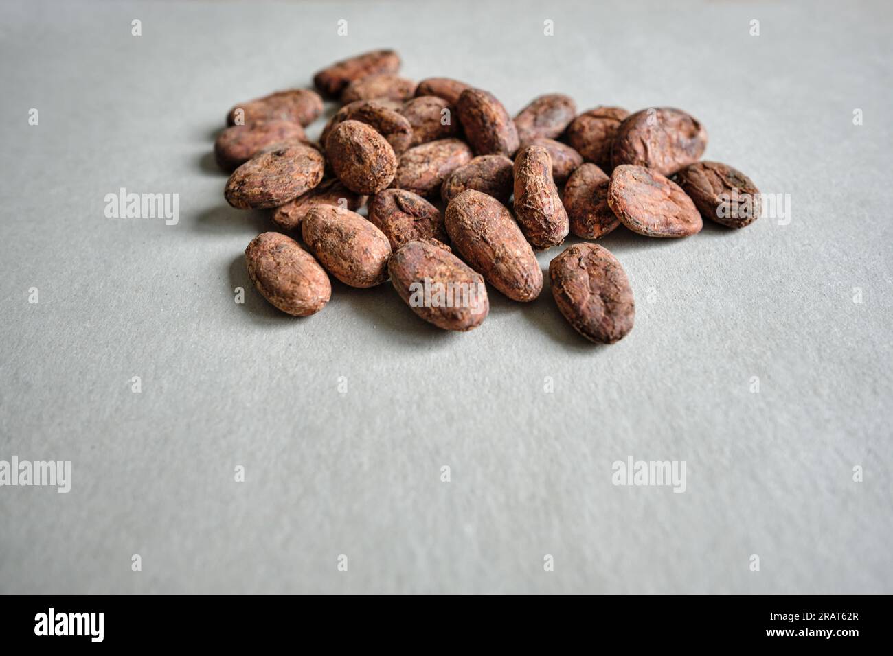 Close-up image of a pile of dry cocoa beans (seeds of the cacao tree ...