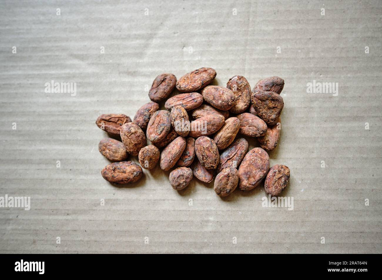 Close-up image of a pile of dry cocoa beans (seeds of the cacao tree ...