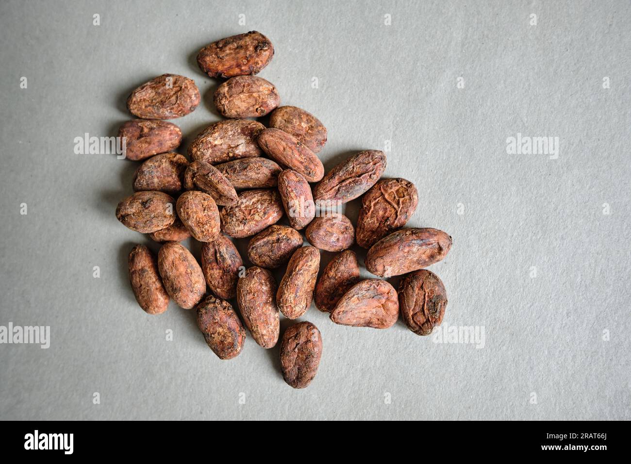 Cacao seed hi-res stock photography and images - Alamy