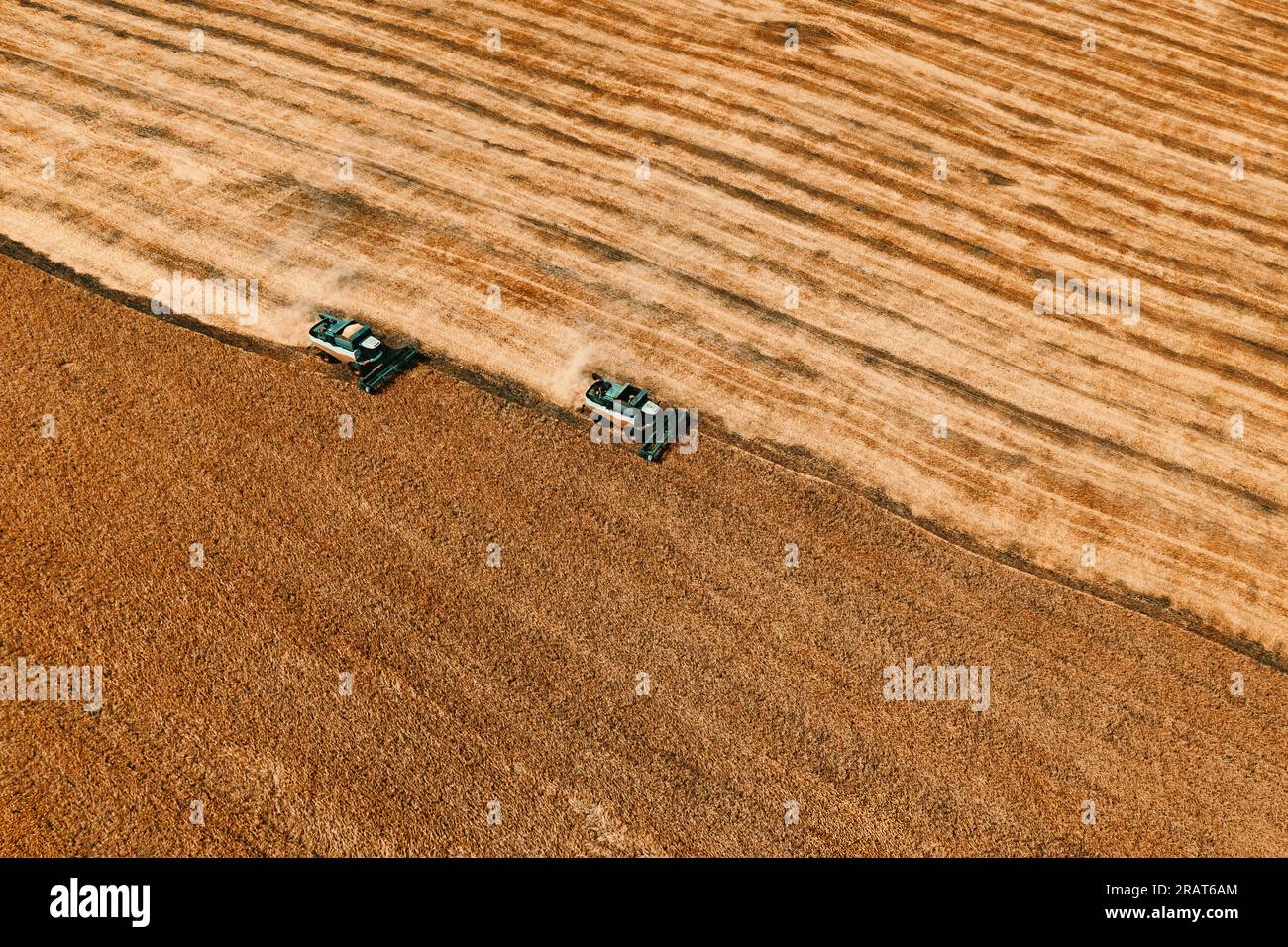 Collecting wheat harvesters in summer hi-res stock photography and ...