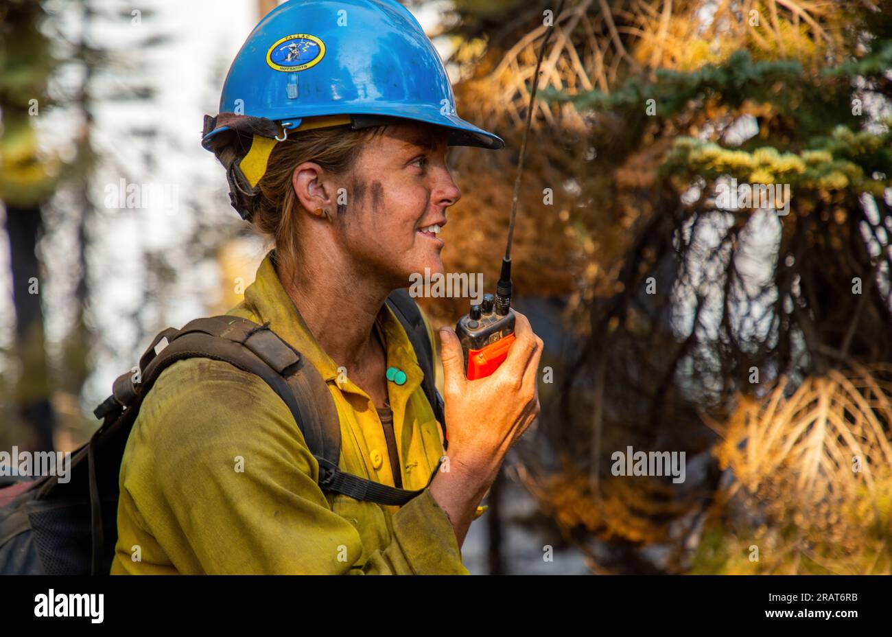 Tallac hotshot on division TT of the North Complex A firefighter speaks ...