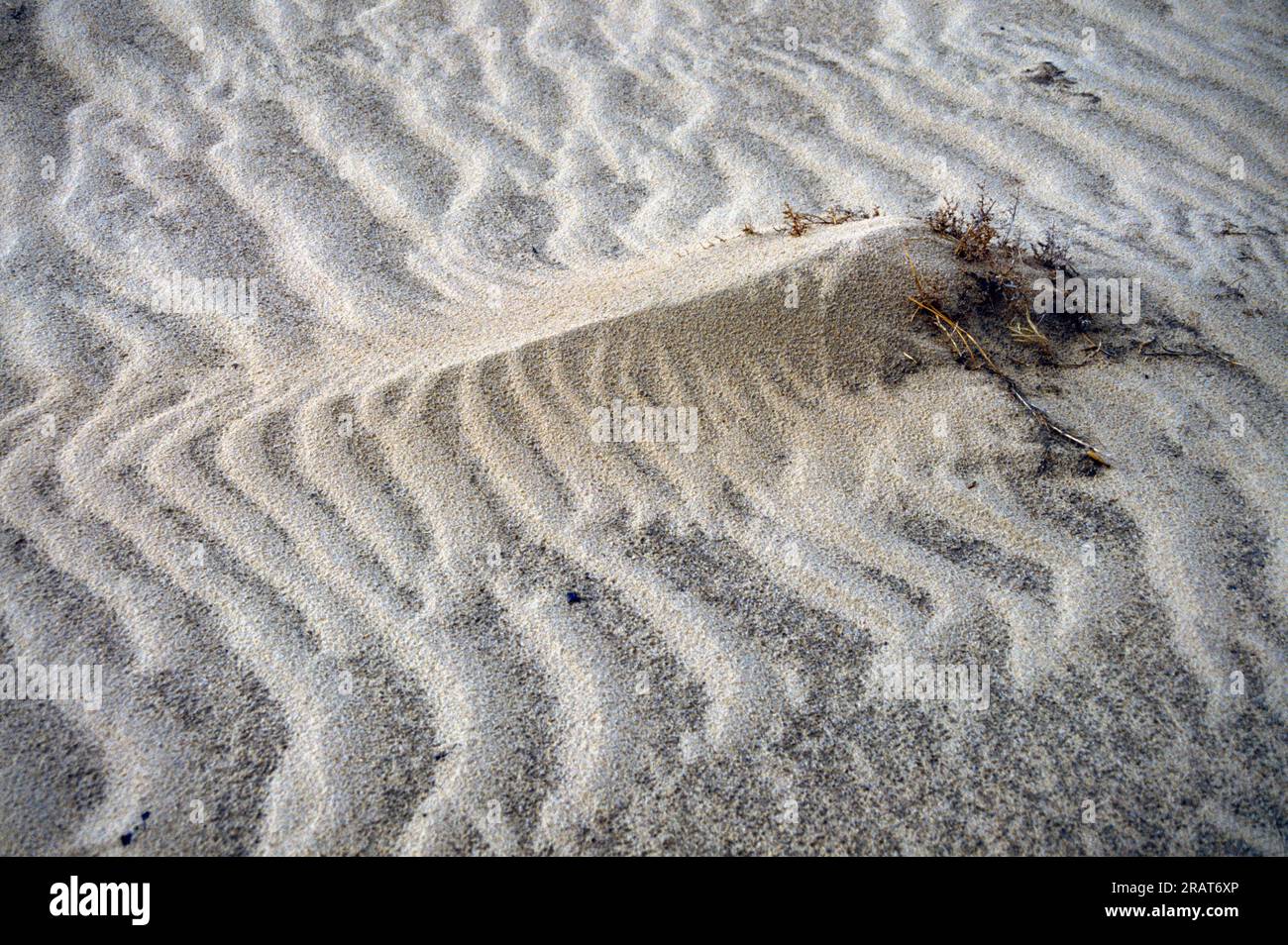 Sand with ripples hi-res stock photography and images - Alamy