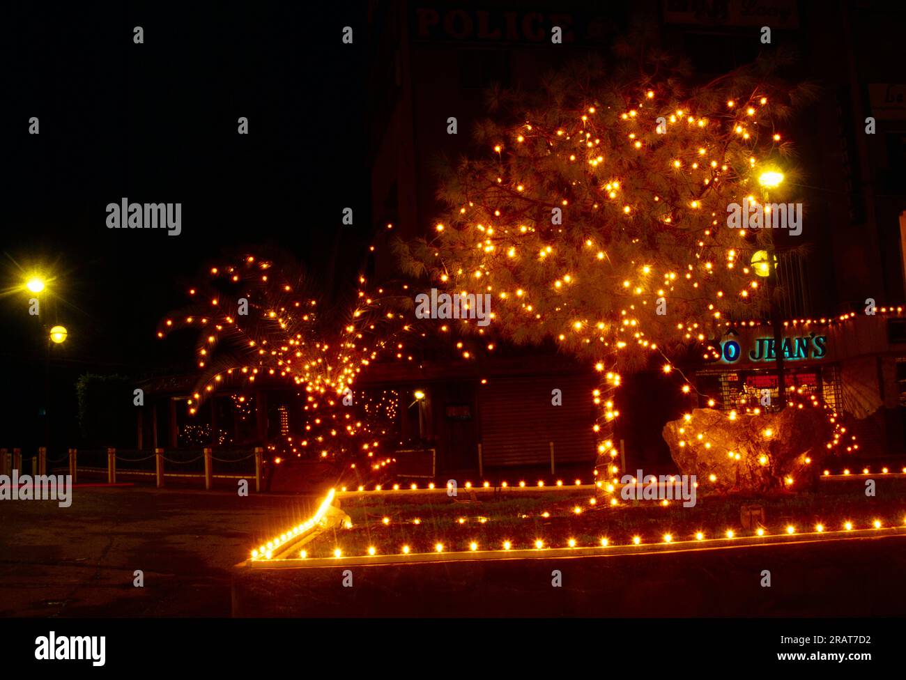Kaslik Lebanon Christmas Lights On Palm Trees Stock Photo - Alamy