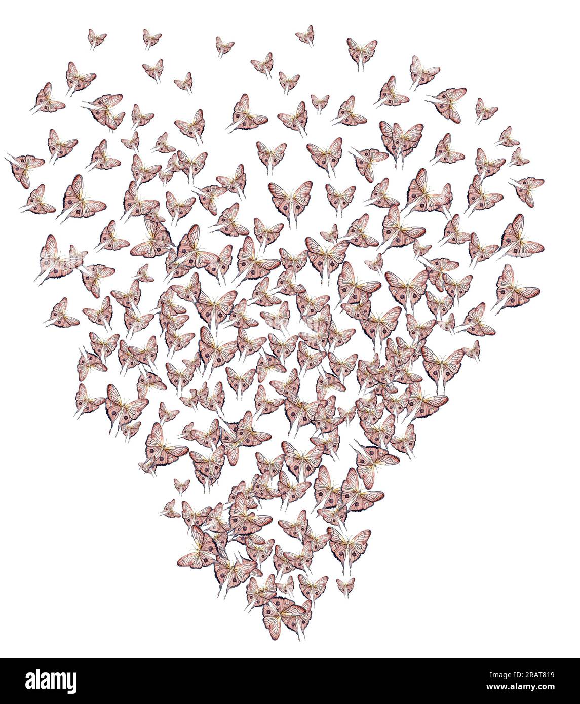 Watercolor butterfly composition . Illustration butterfly.Hand drawn ...