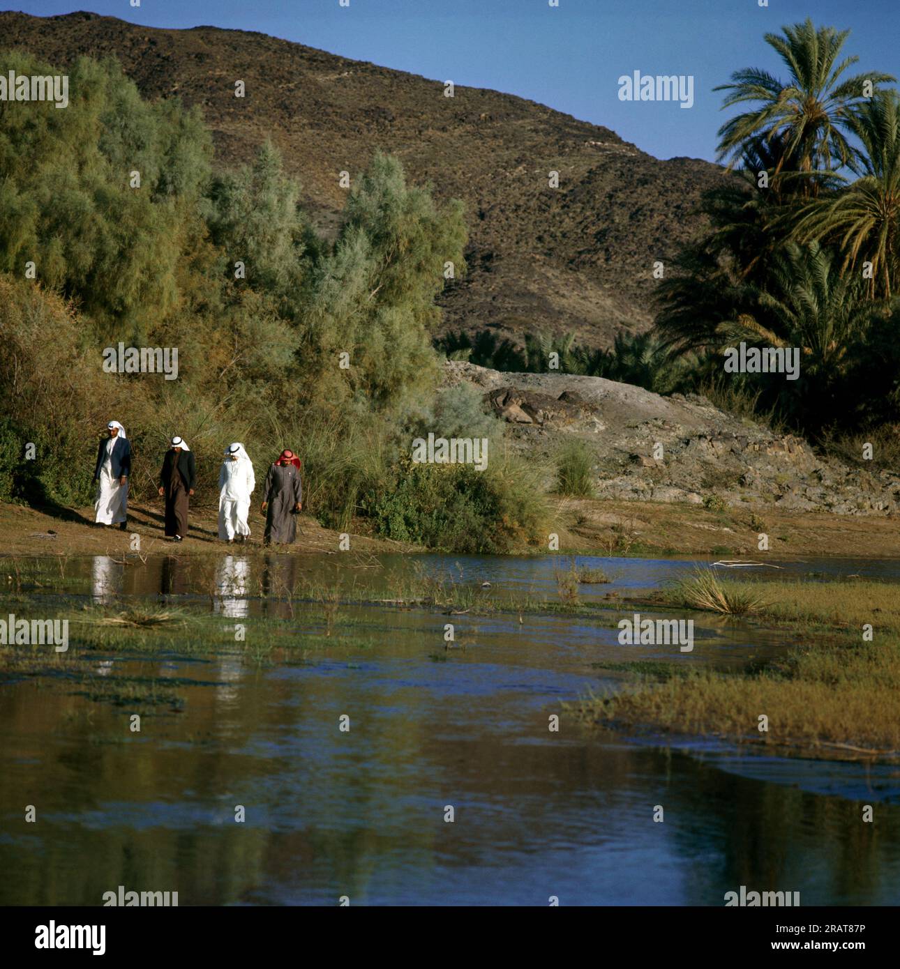 Saudi arabia asir mountains hi-res stock photography and images - Alamy