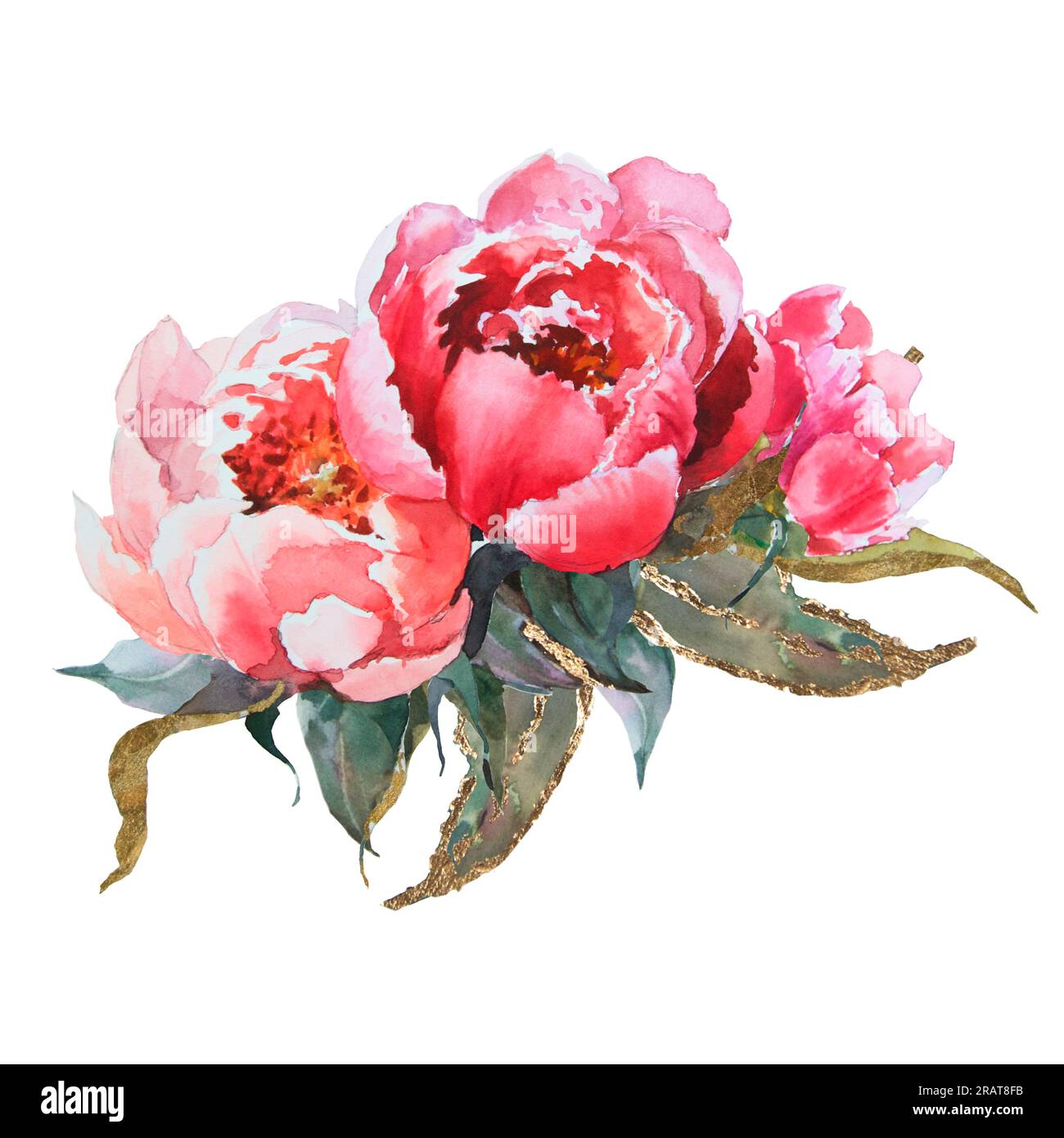 Watercolor hand drawing pink peonies bouqet with golden potal on white ...