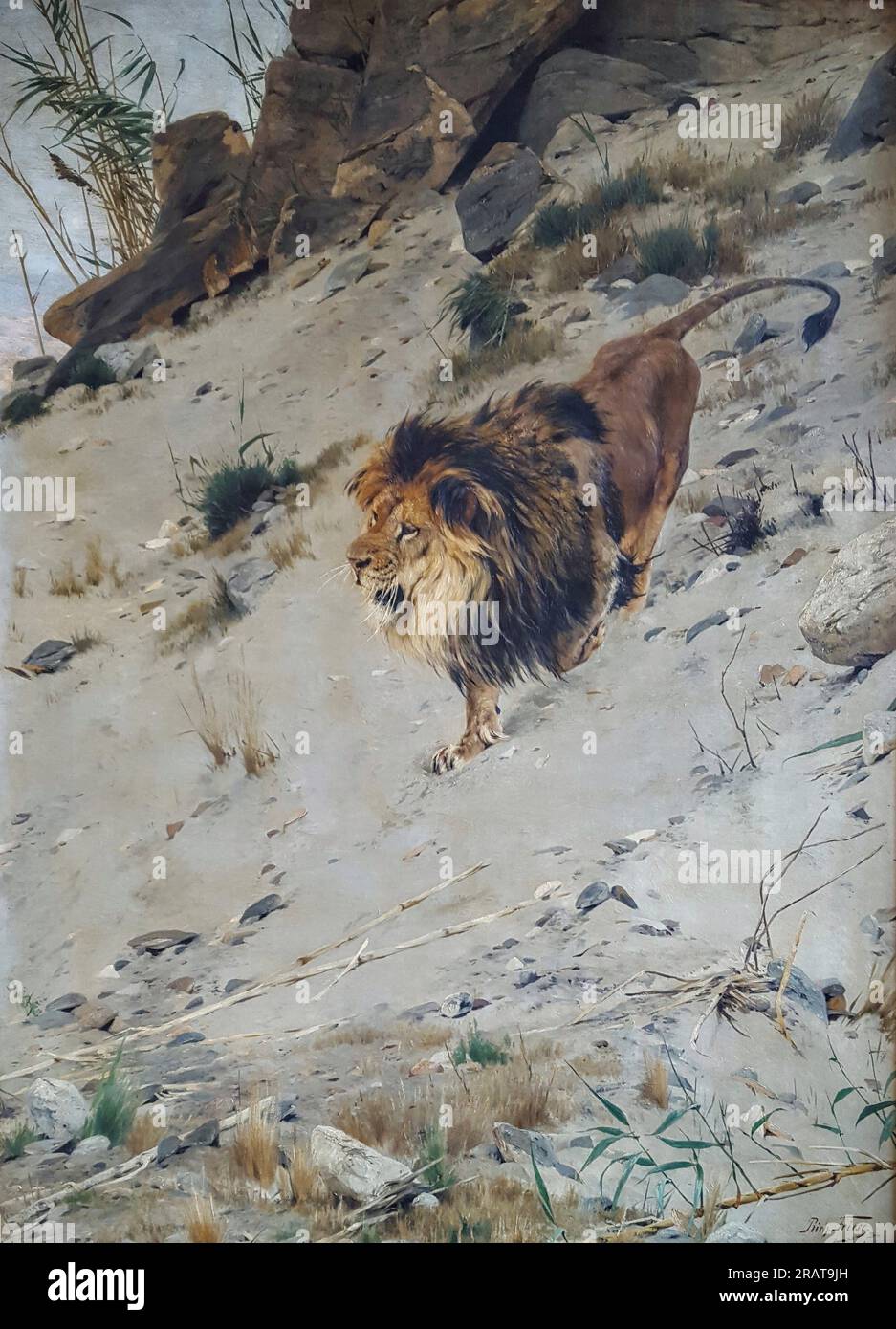 Richard herr hi-res stock photography and images - Alamy