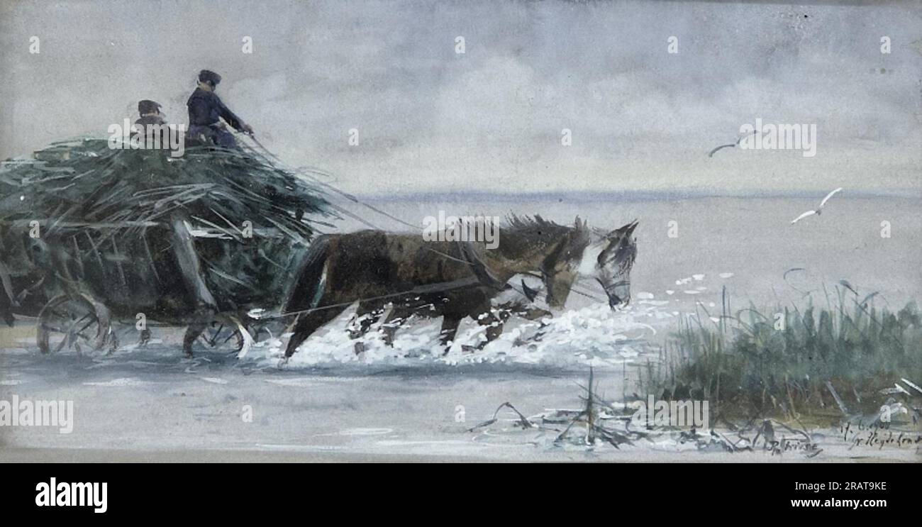 Reed harvest 1900 by Richard Friese Stock Photo - Alamy