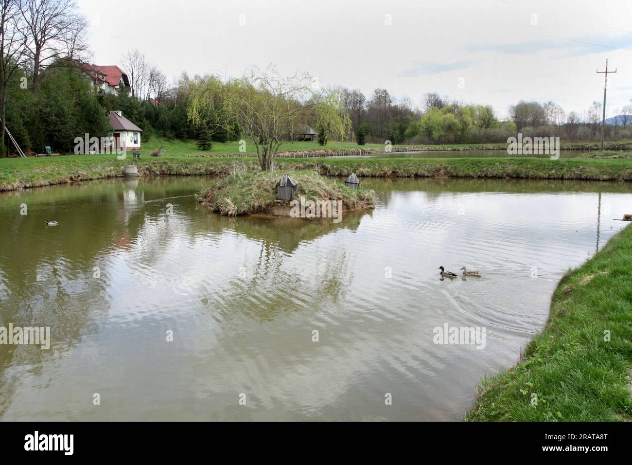 Artificial fish farm pond for carp breeding and keeping Stock Photo - Alamy