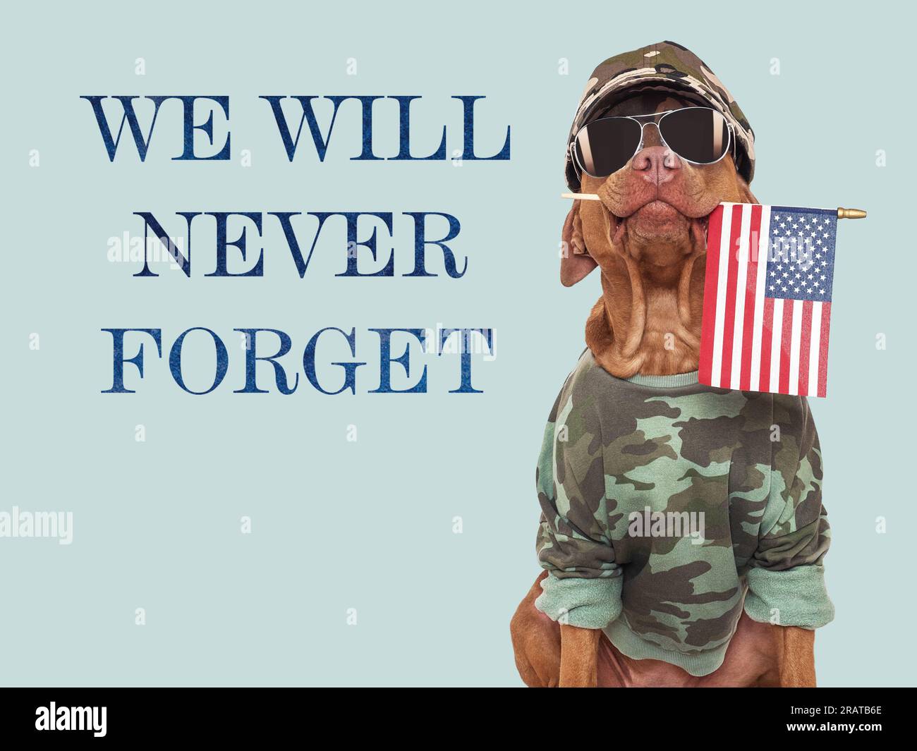 Patriot Day. Cute brown dog and American Flag Stock Photo - Alamy