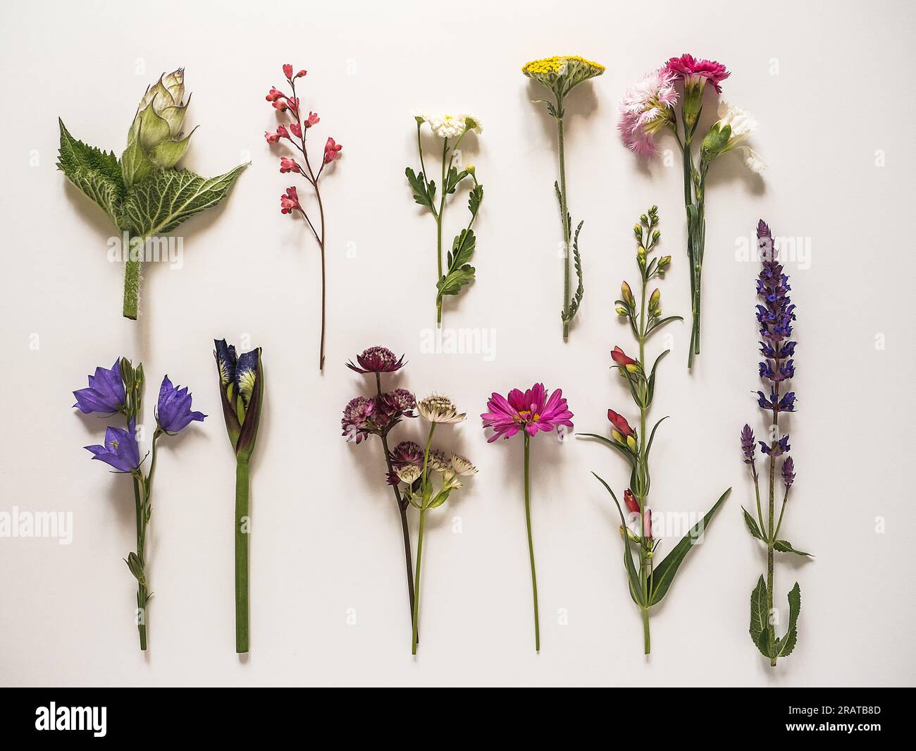 Overhead view summer flowers hi-res stock photography and images - Alamy