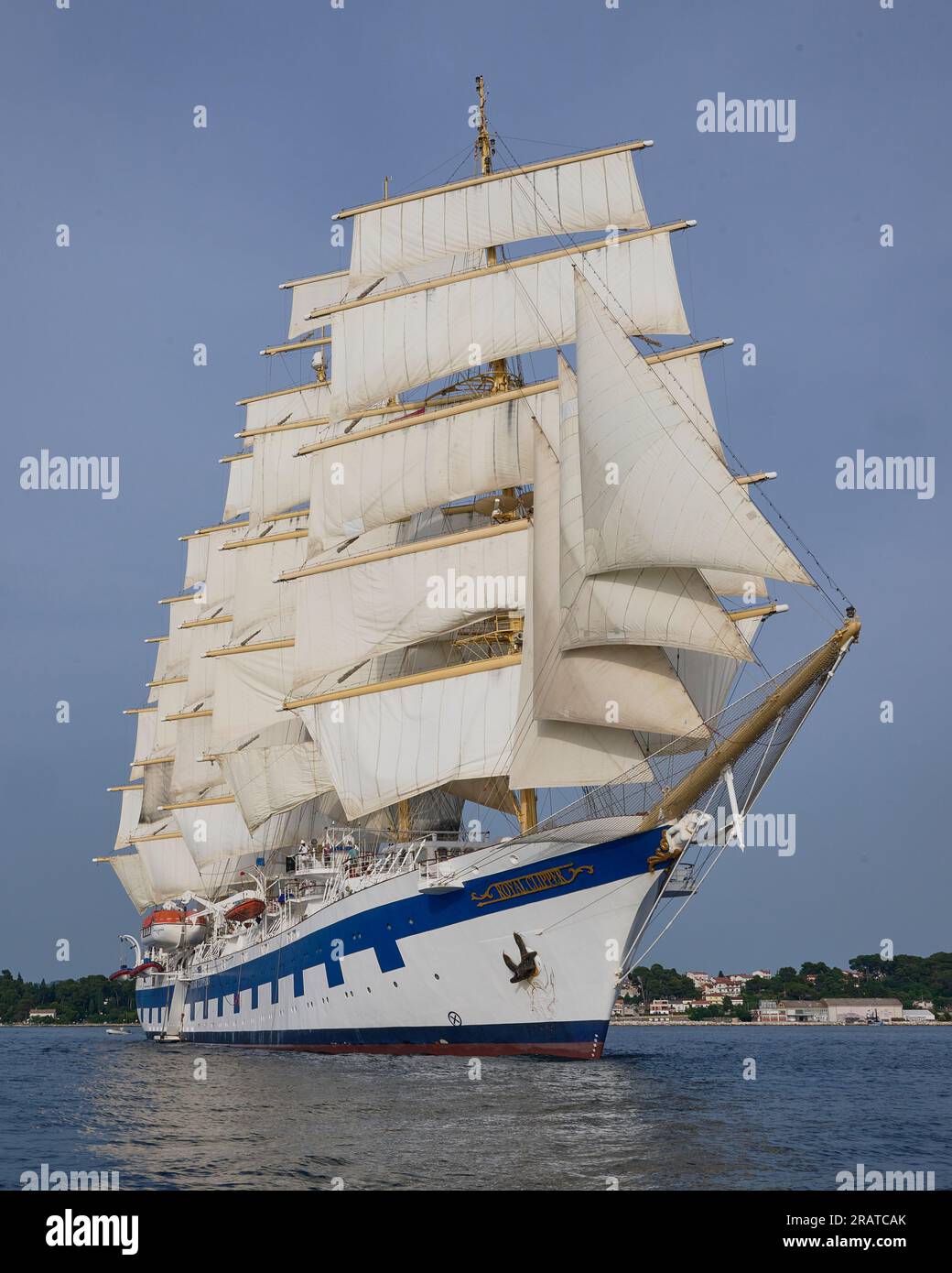 Royal clipper square rigged sailing ship hi-res stock photography and ...