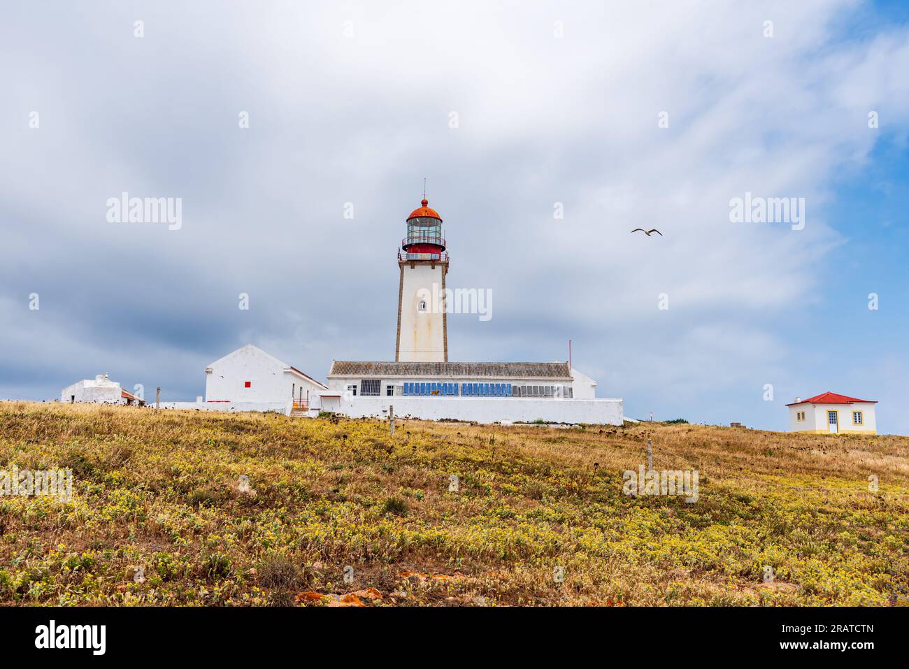 Berlenga Lighthouse, in the natural reserve of the Berlengas ...