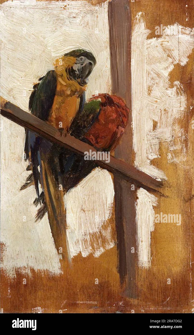 Papagallos hi-res stock photography and images - Alamy