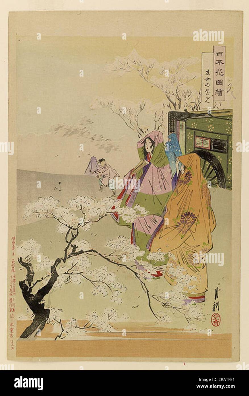 Nihon hana zue 1893 by Ogata Gekko Stock Photo - Alamy