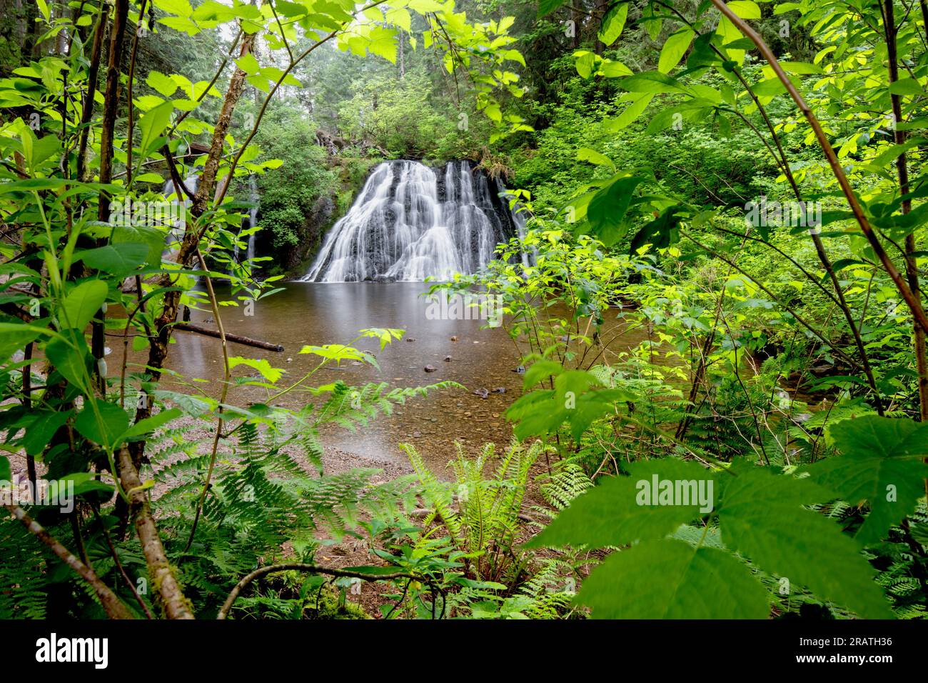 WA24541-00....WASHINGTON - Cedar Creek Falls in the foothills of the ...