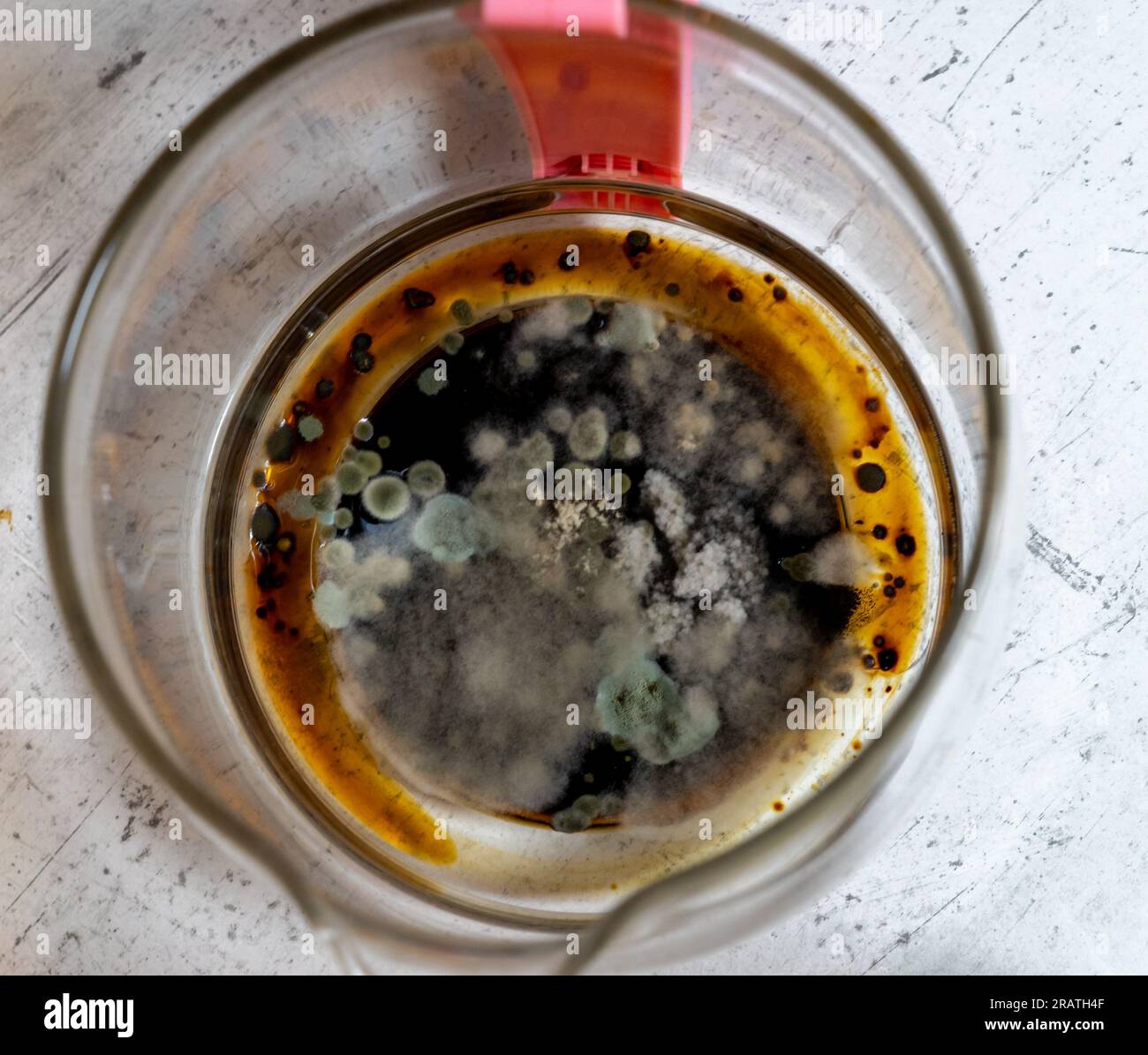 Mold in a coffee pot Stock Photo - Alamy