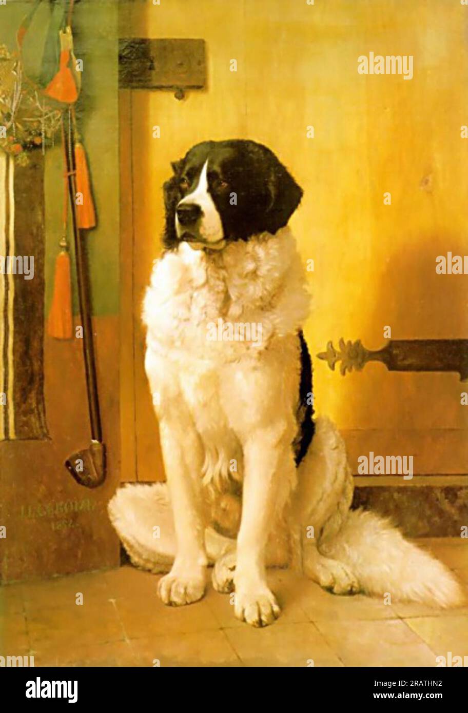 Vintage dog study hi-res stock photography and images - Alamy