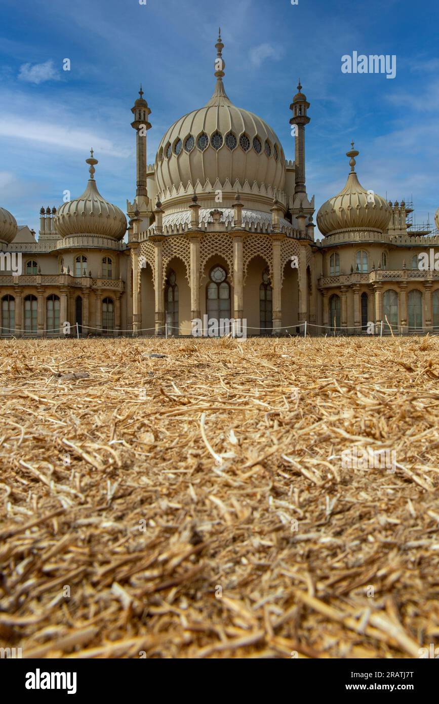 Dried out lawns hi-res stock photography and images - Alamy