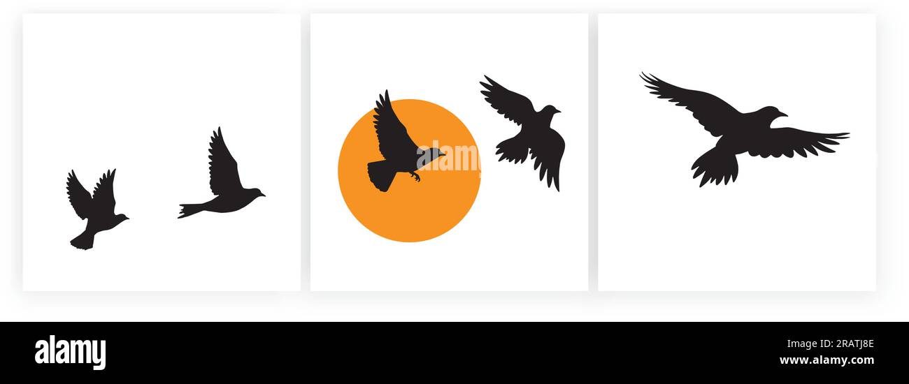 Flying birds silhouettes on sunset, vector. Flying birds silhouettes ...