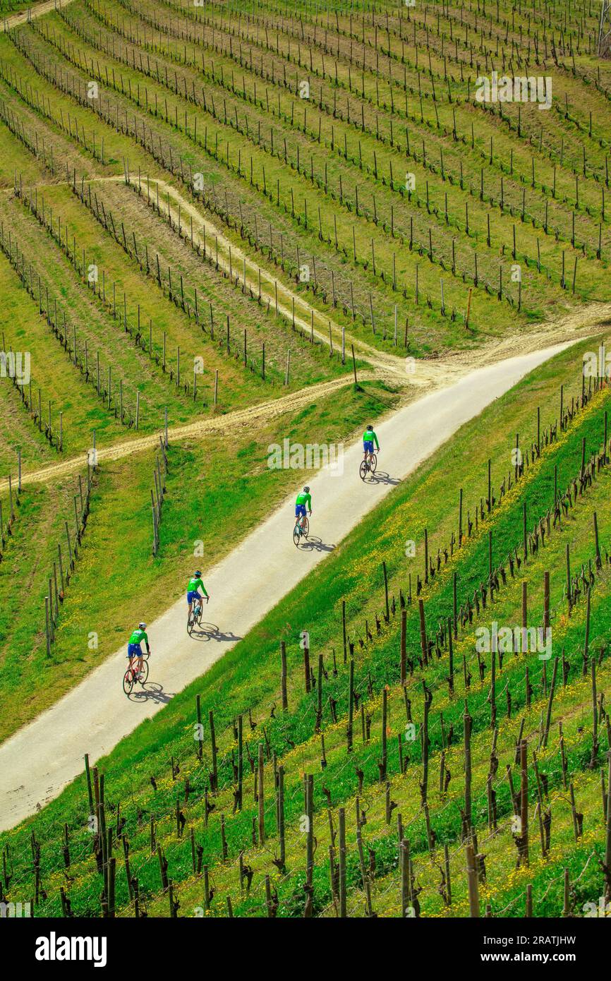 Monteu roero italy hi-res stock photography and images - Alamy