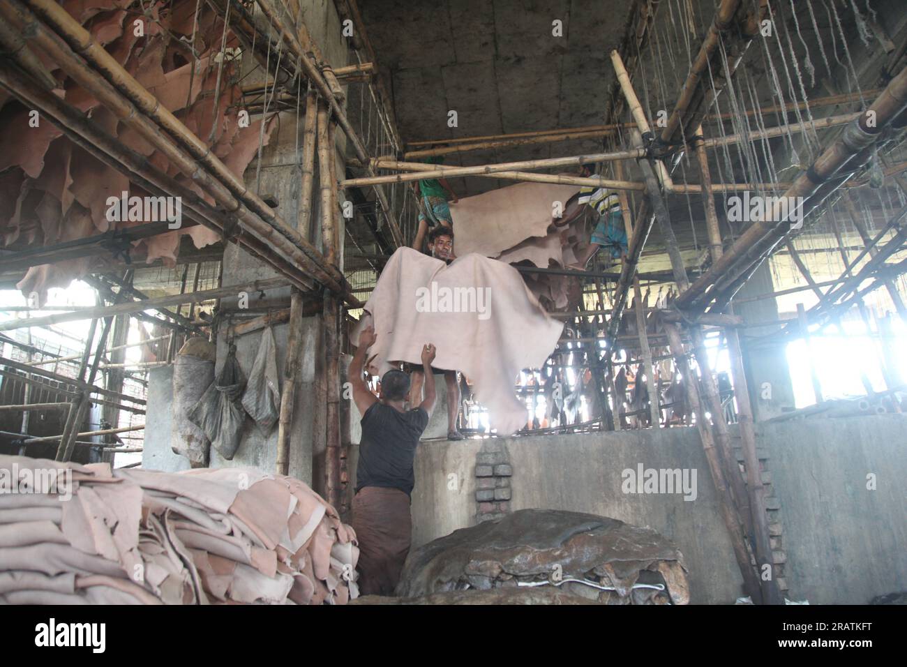 Dhaka, Bangladesh. 4 july, 2023. Workers processing animal skins ...