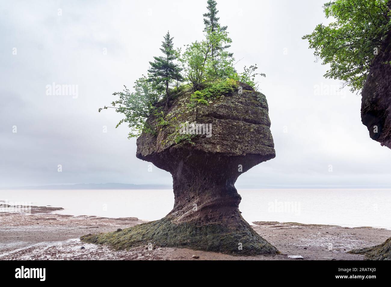 The bay of Fundy, New Brunswick.This bay is famous for having the ...