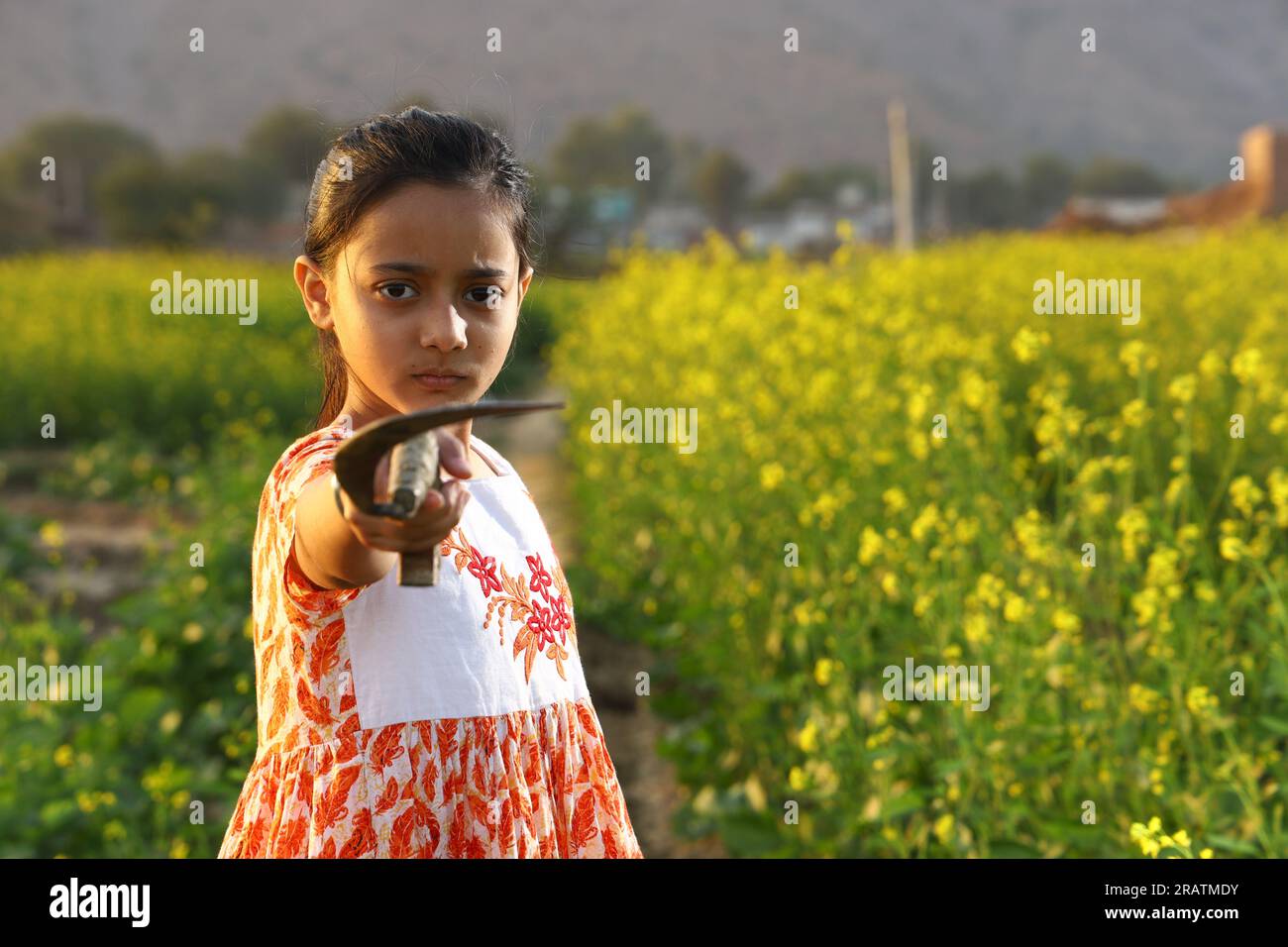Harvesting crops in india hi-res stock photography and images - Alamy
