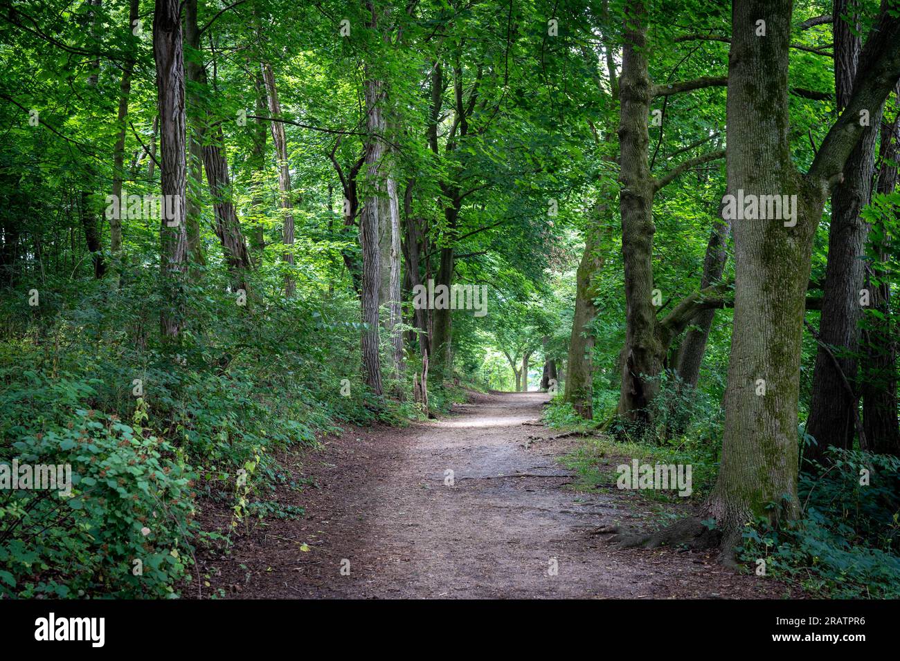 Dirt pathway hi-res stock photography and images - Alamy