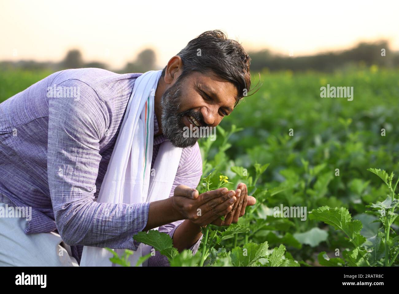 Portrait of Happy Indian farmer feeling the wind while standing in ...