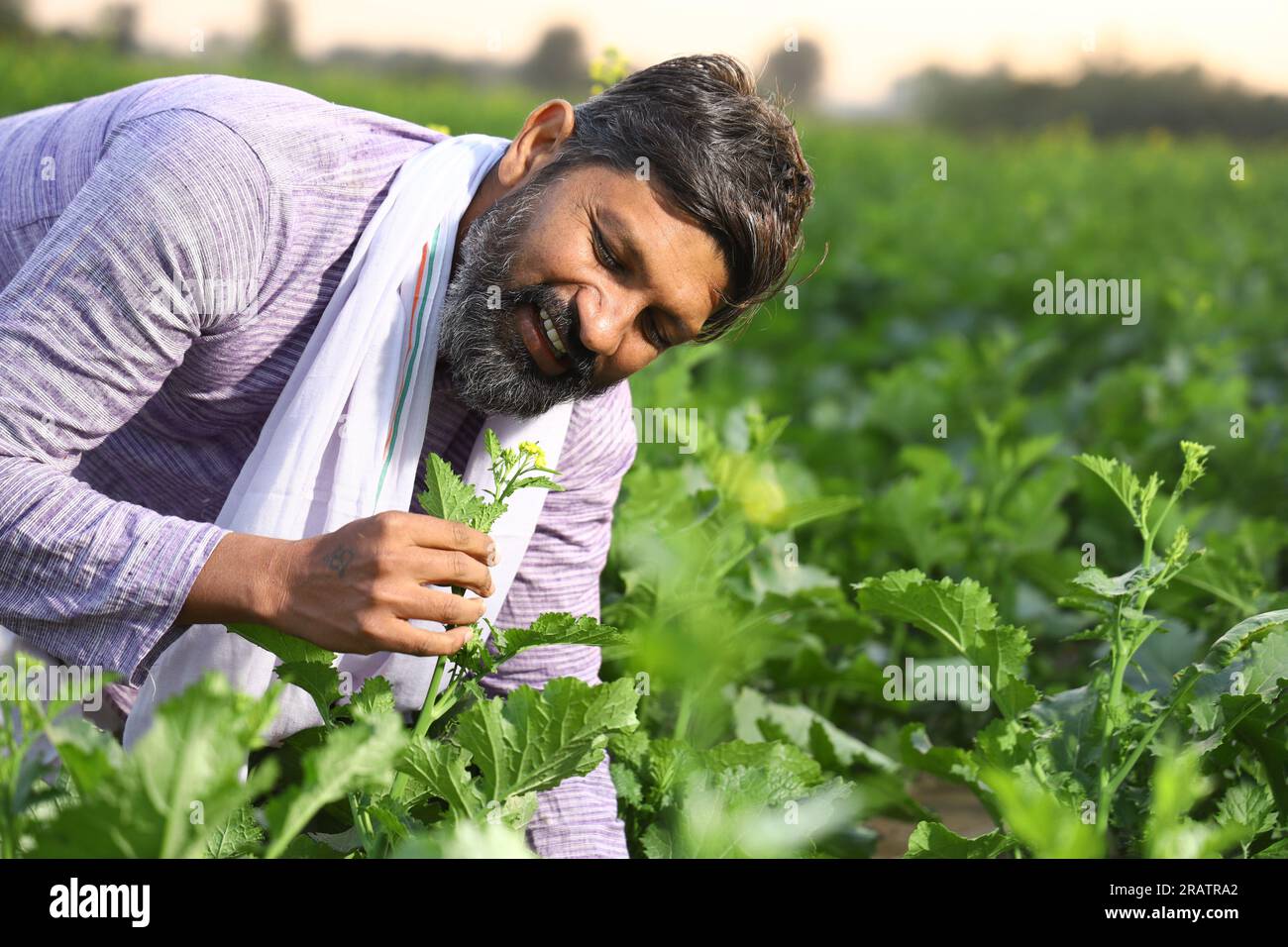 Portrait of Happy Indian farmer feeling the wind while standing in ...