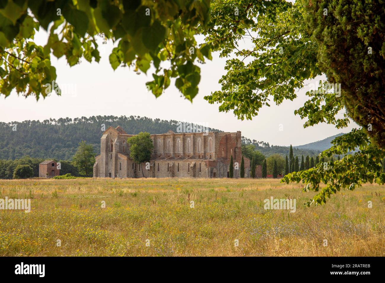 San galgano chiusdino italy hi-res stock photography and images - Alamy