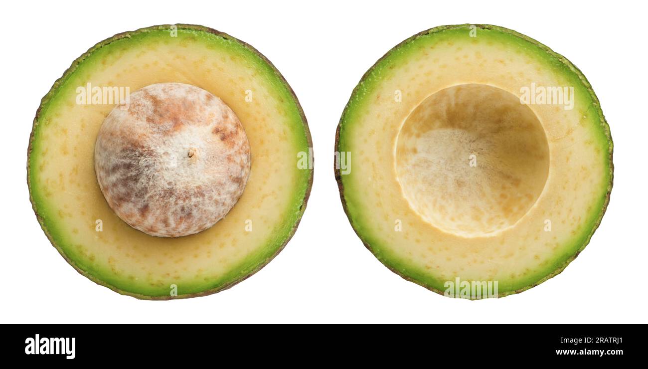 Falling avocado divided into parts isolated on white background ...