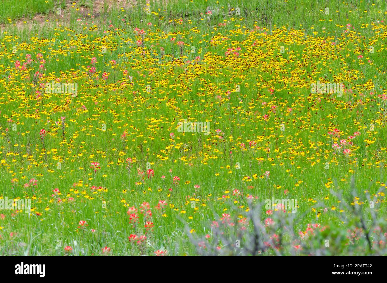 Indian basin hi-res stock photography and images - Alamy