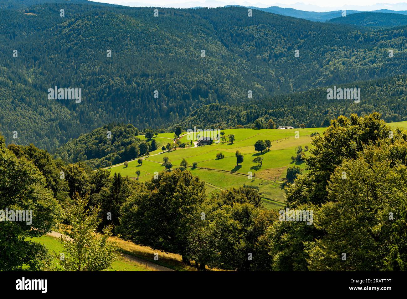 View over green meadows and forests in the Black Forest to the Alps ...