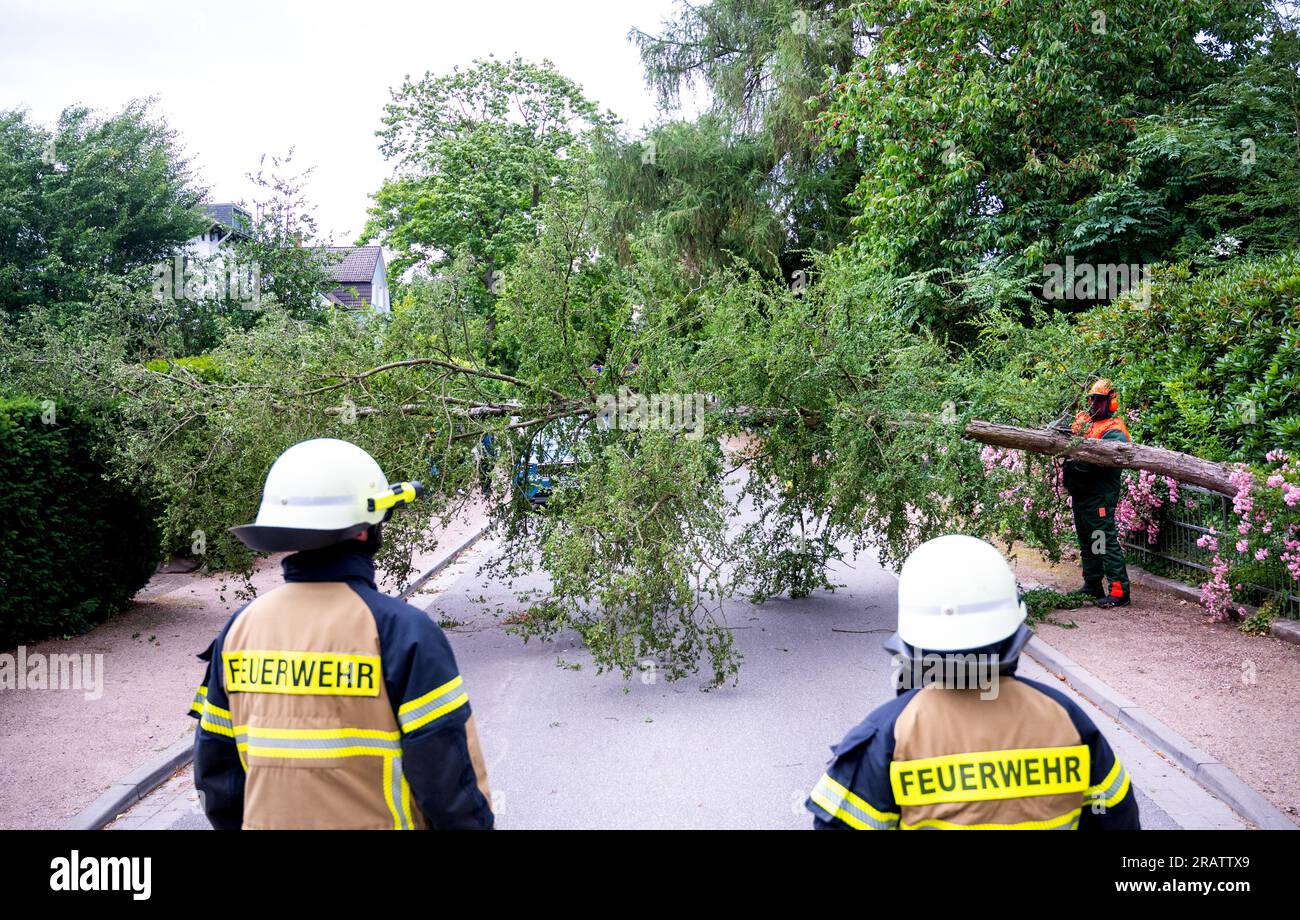Wentorf Bei Hamburg, Germany. 05th July, 2023. A fallen tree lies ...