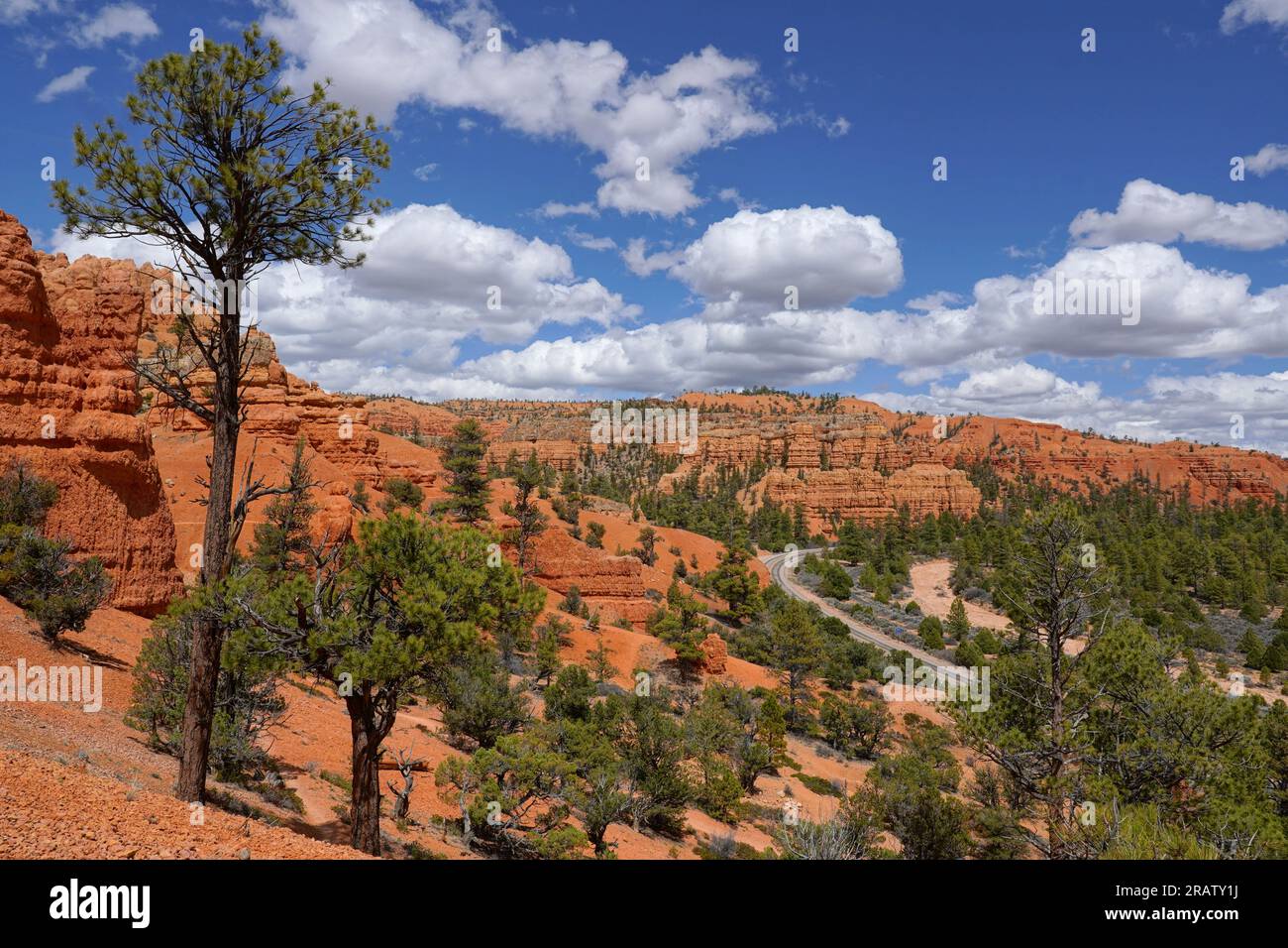 Scenic Byway 12 passing through Red Canyon State Park in Utah Stock ...