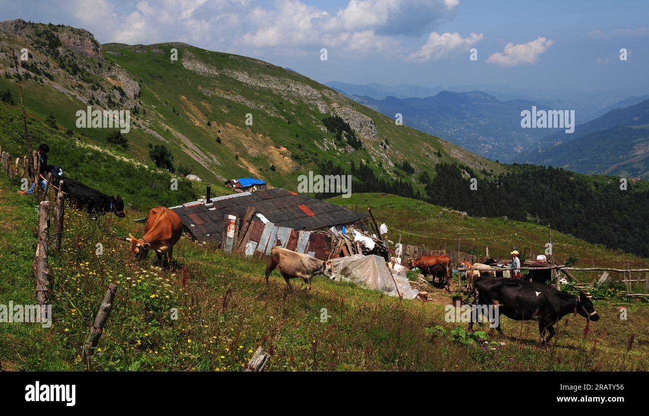 The plateaus in Trabzon, Turkey, are quite beautiful Stock Photo - Alamy