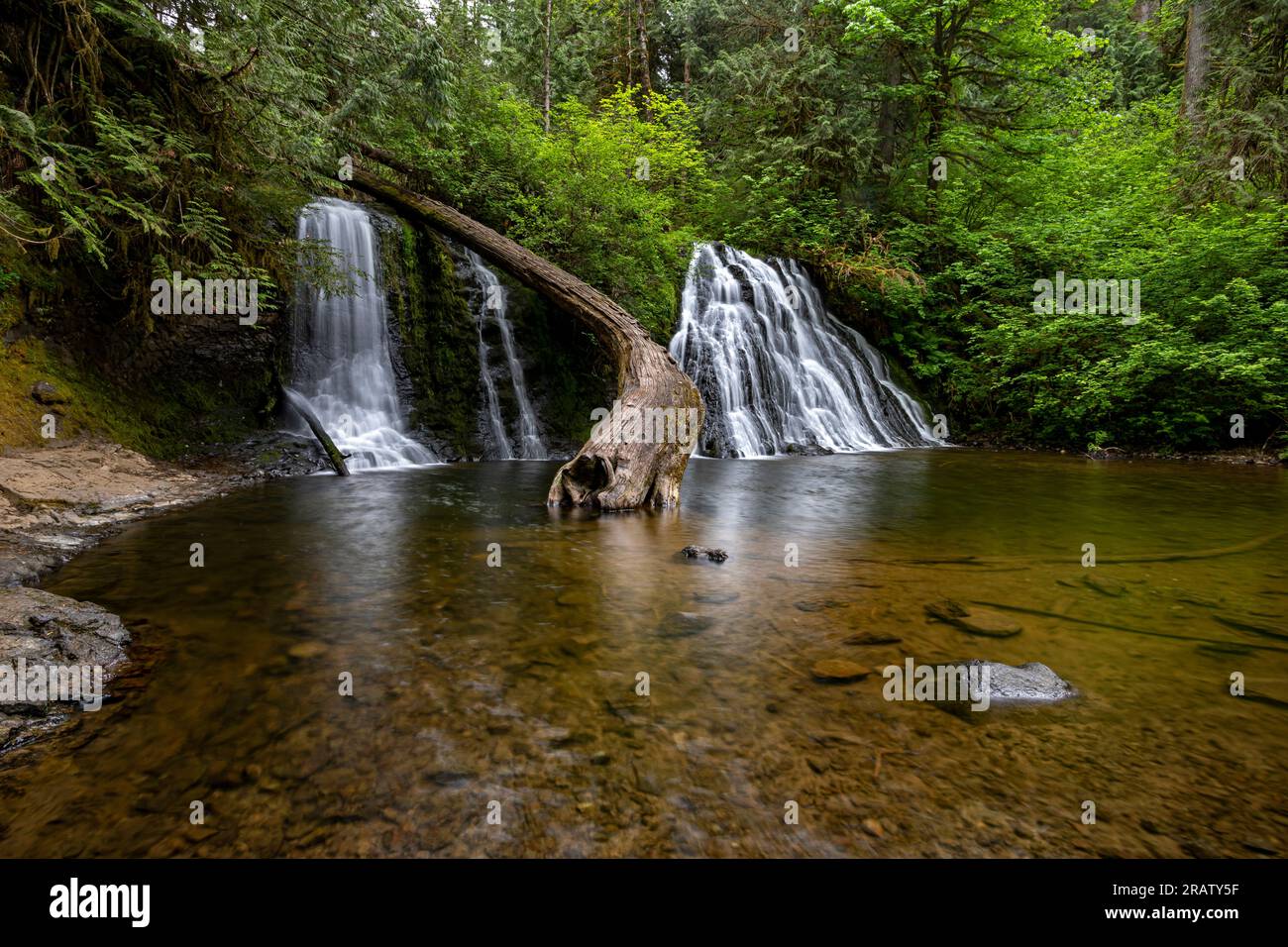 WA23460-00...WASHINGTON - Cherry Creek Falls near Duvall, part of ...