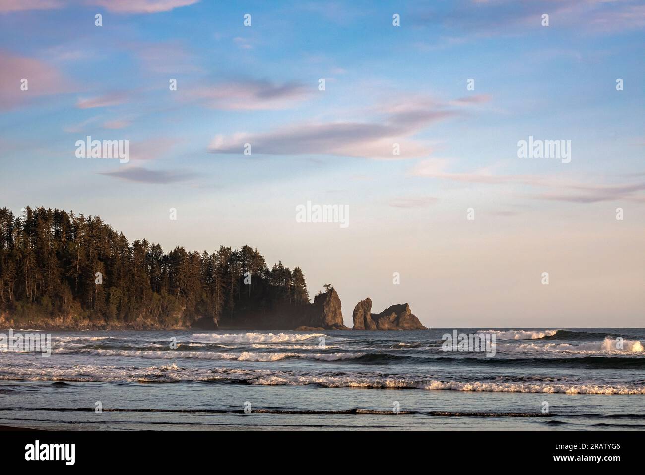 WA23470-00...WASHINGTON - Cliffs on headland at the southern end of ...