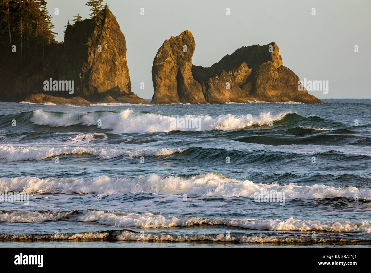 WA23471-00...WASHINGTON - Seastacks/islands created by the eroding ...